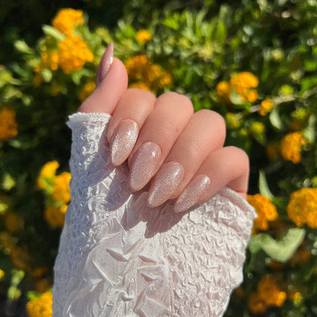 DOLCE - CAT EYE – NailBae LA